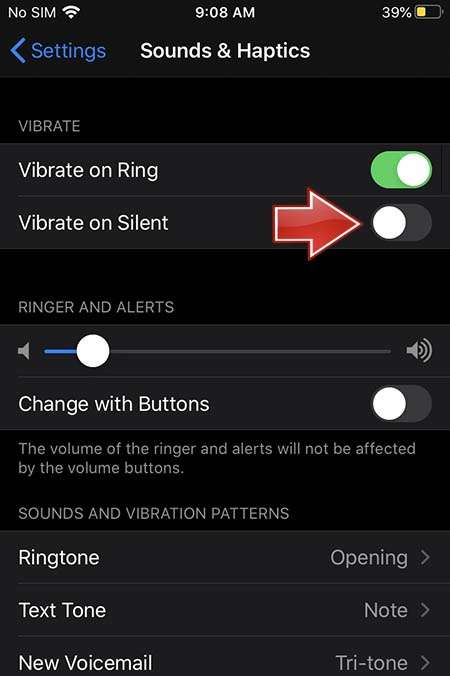 How To Manage Vibration Settings On Ring & Silent Mode In APPLE IPhone ...